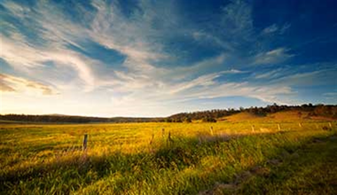 Councils zero in on crime solutions - LGAQ - CONNECT . INNOVATE . ACHIEVE